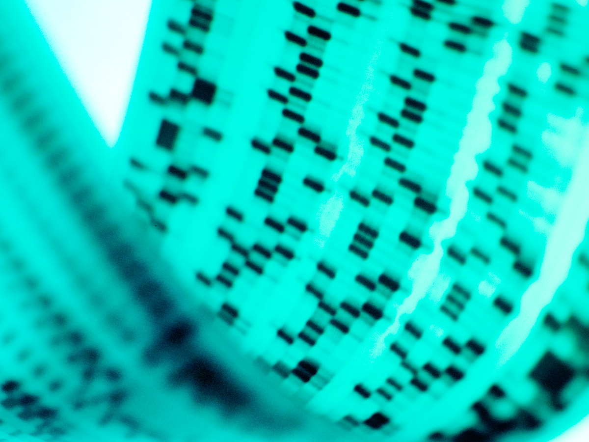 LAS Slams NYC's Controversial Secret DNA Database