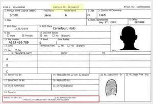 What You Need to Know About Appointments with Immigration and Customs ...